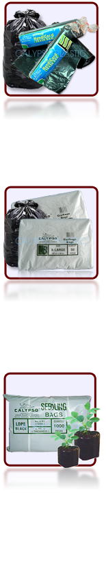 Calypso - Your One Stop Shop!